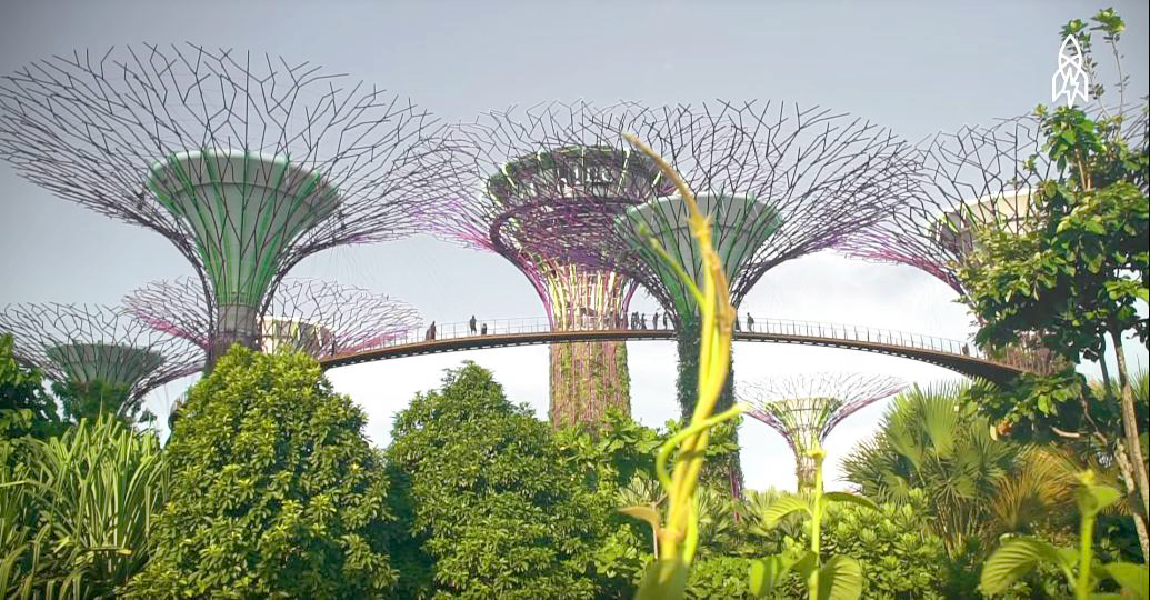 Sisngapore's Man-Made Trees